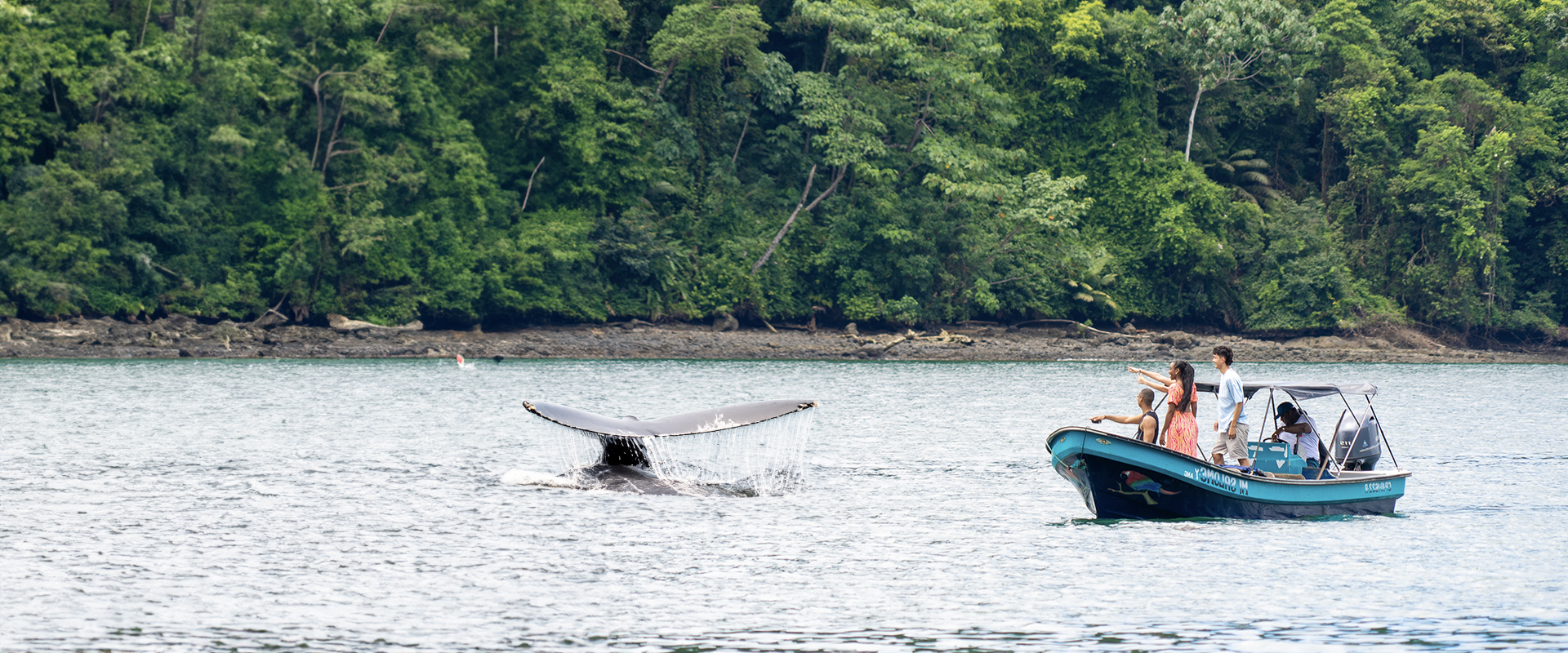 El Choco | Paraíso de Biodiversidad y Cultura Viaja Colombia